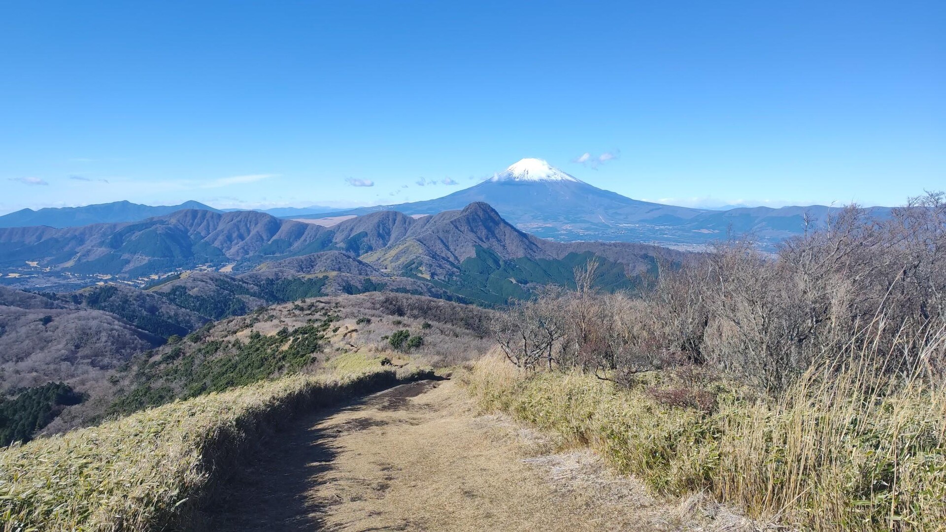 金時山 蒼に浮かぶ霊峰富士 / tolucky(^^)さんの金時山・明神ヶ岳の活動データ | YAMAP / ヤマップ
