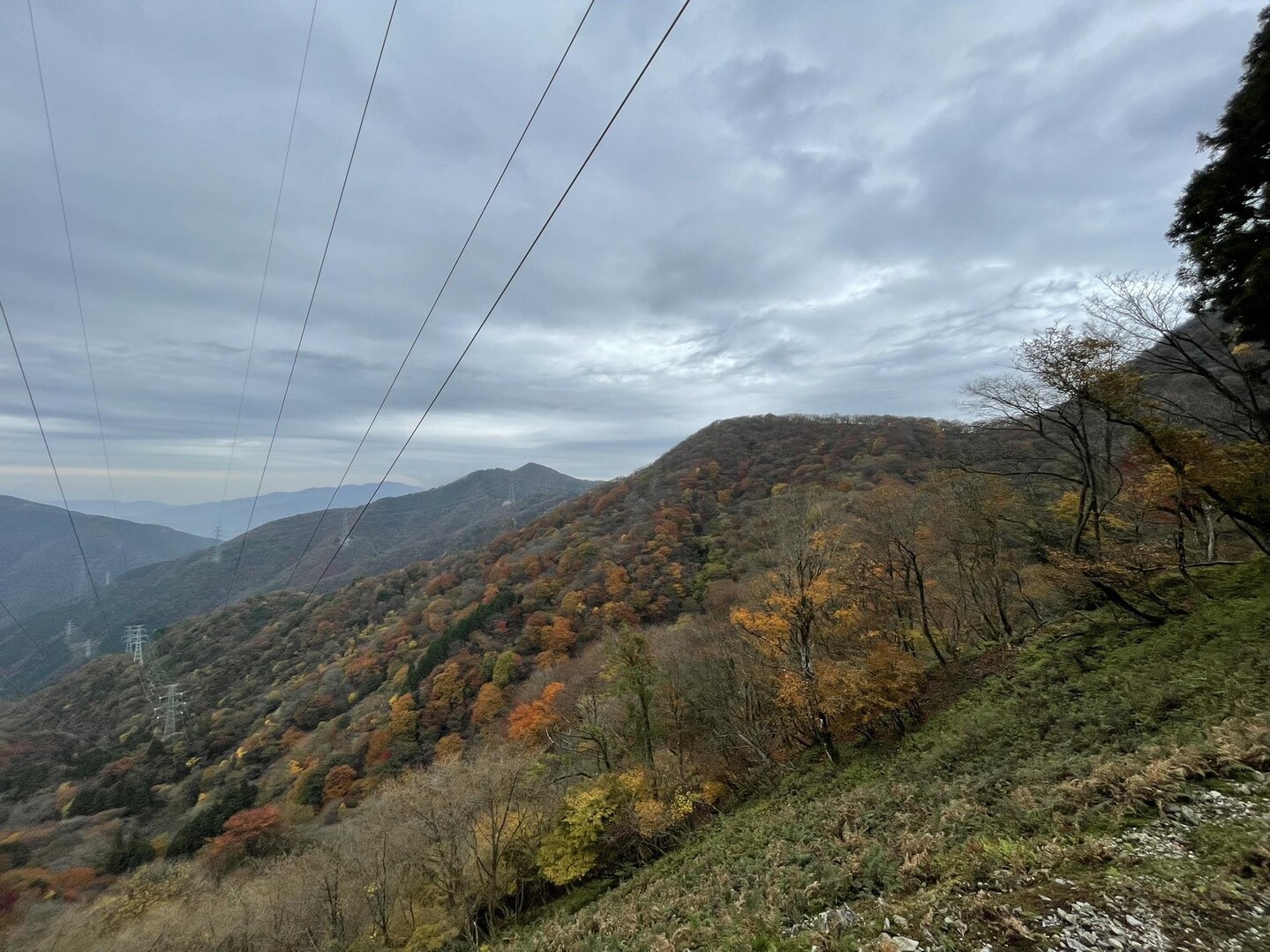 烏帽子岳・三国岳 時山から / Perrie さんの三国岳・烏帽子岳・ダイラの頭の活動データ | YAMAP / ヤマップ