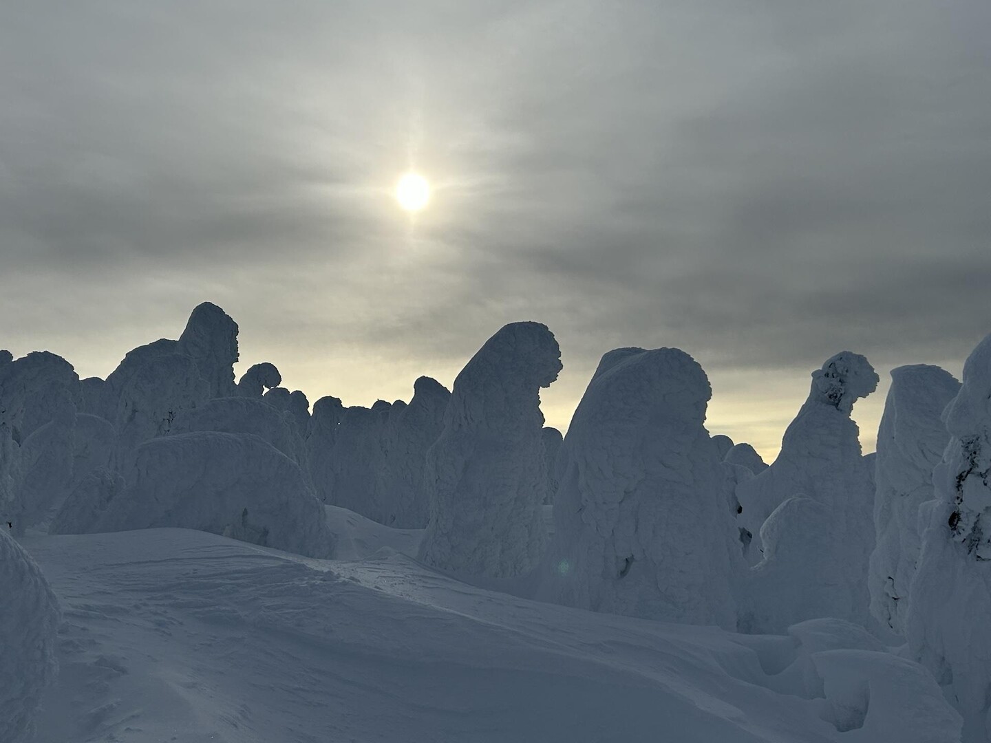 スノモンと氷瀑 蔵王 ライザコース / aceさんの蔵王山・雁戸山・不忘山の活動日記 | YAMAP / ヤマップ