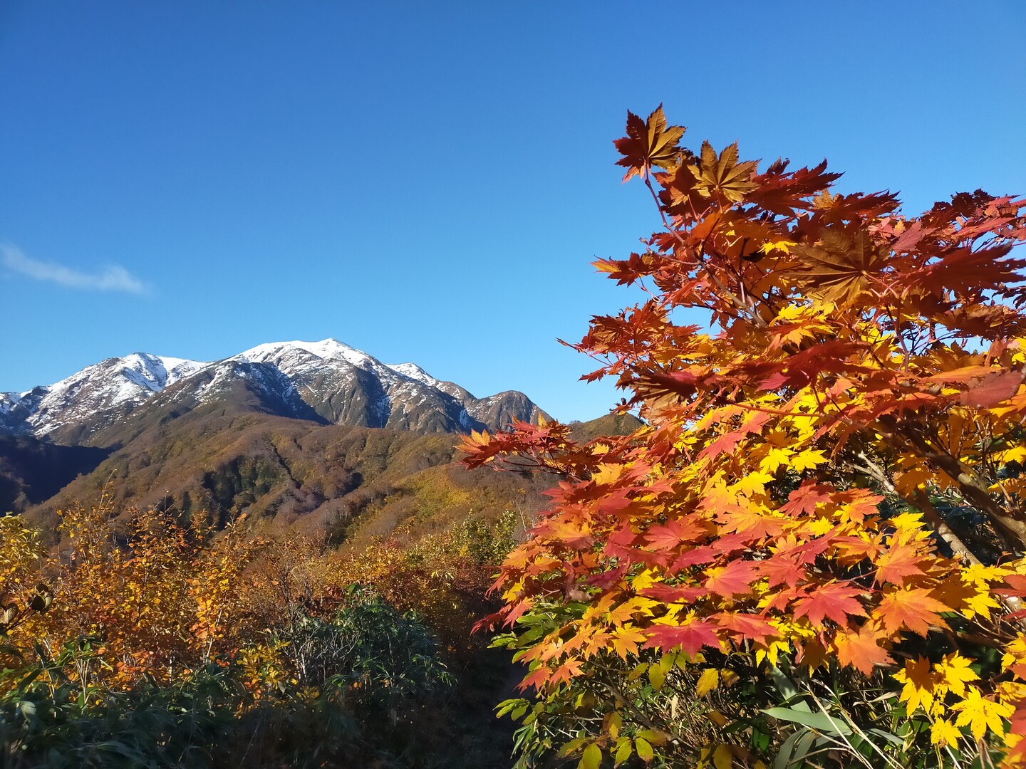 道行山・小倉山・越後駒ヶ岳 / Berryさんの越後駒ヶ岳・八海山・荒沢岳の活動データ | YAMAP / ヤマップ