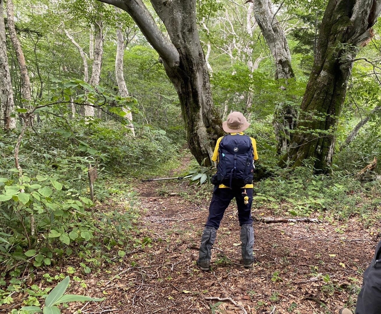 前森山〜西森山 / ミソラカラスさんの岩手山・八幡平・安比高原 50km トレイルの活動データ | YAMAP / ヤマップ
