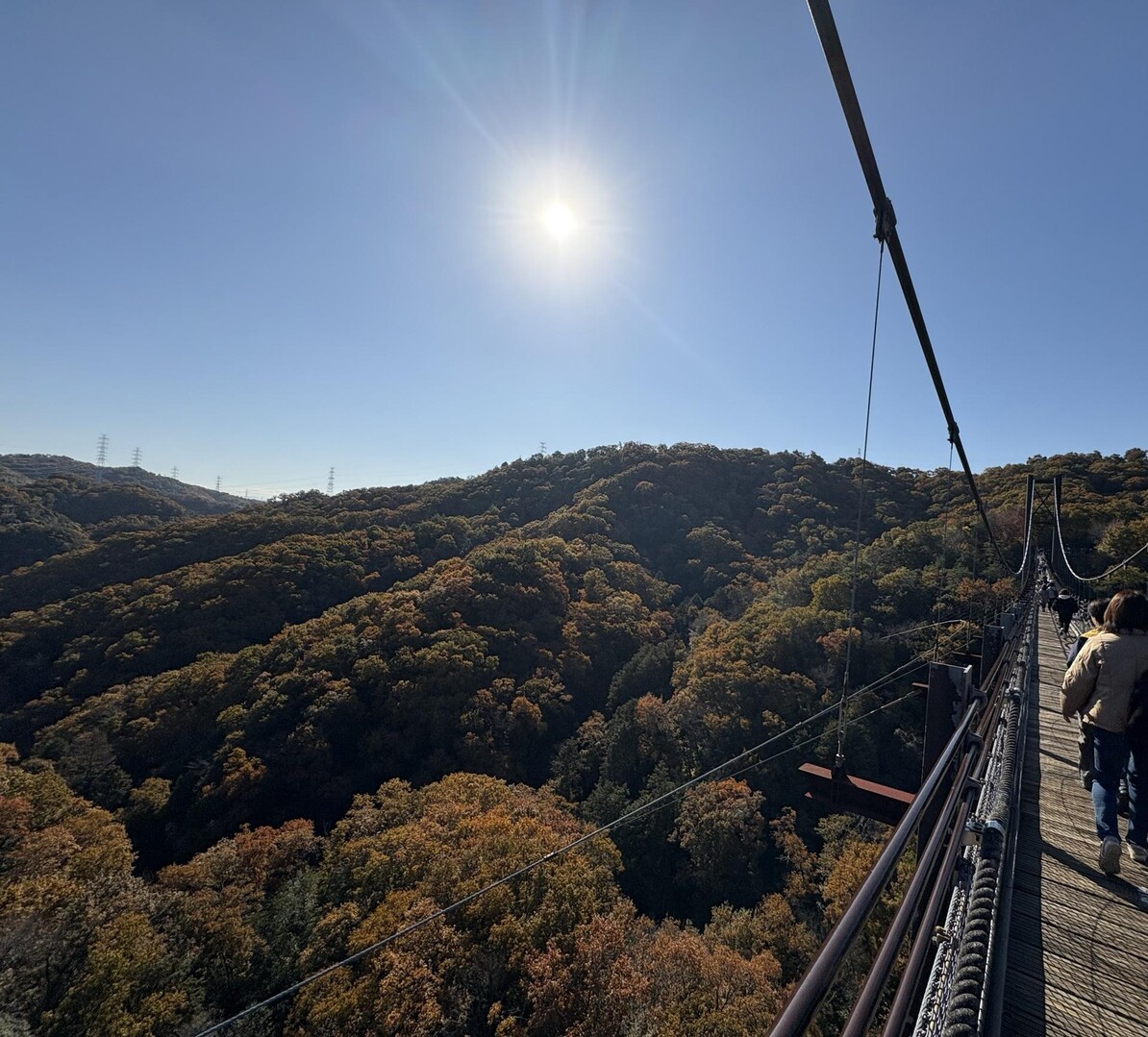 馬が嶺・日南山・白峯・小判嶺・大谷山・南大谷山・弁財天山・茨尾山・西茨尾山・北山師岳・地獄谷山... / kzさんの交野山・国見山の活動データ | YAMAP / ヤマップ