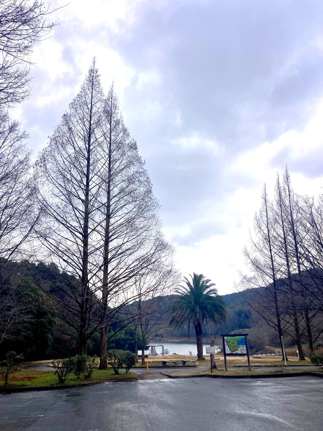 今年初は牛頸山‼️ / ozumaさんの牛頸山・黒金山・観音山の活動日記 | YAMAP / ヤマップ
