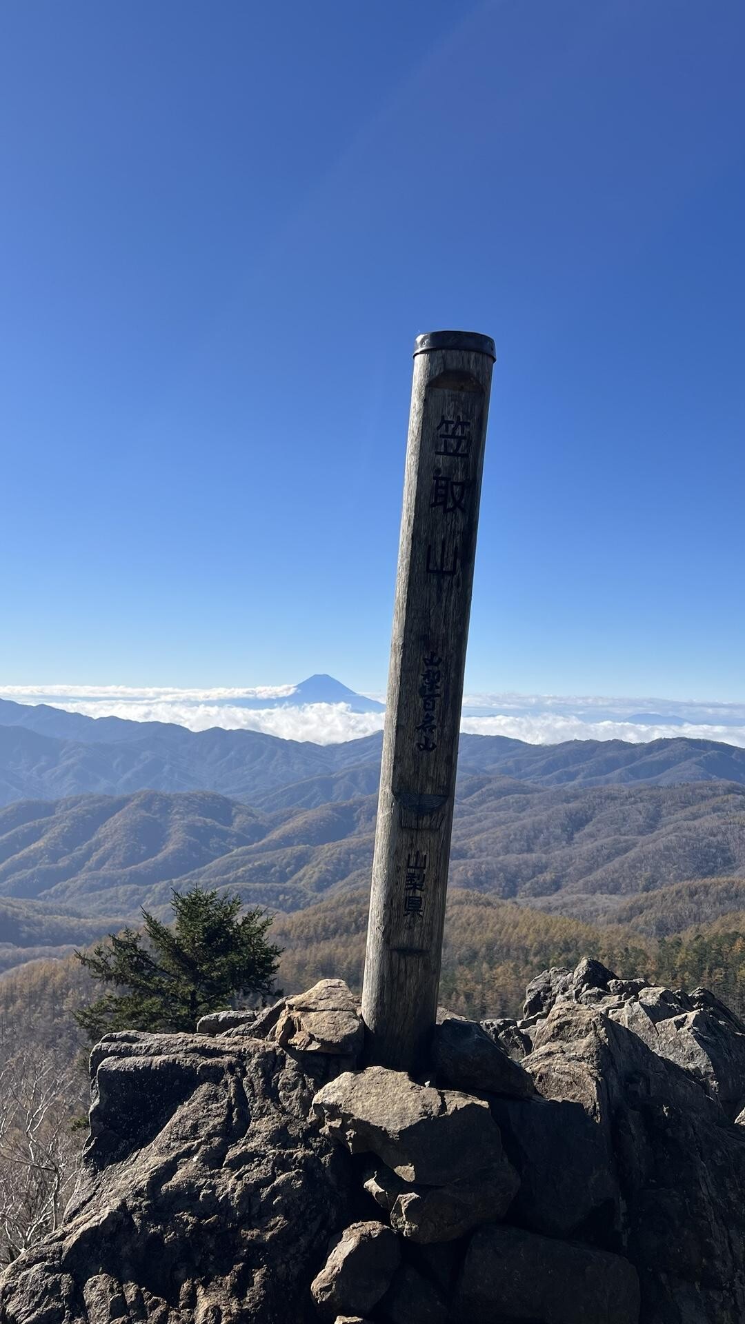 笠取山・紅葉🍁 / hanさんの和名倉山・笠取山・東仙波の活動日記 | YAMAP / ヤマップ