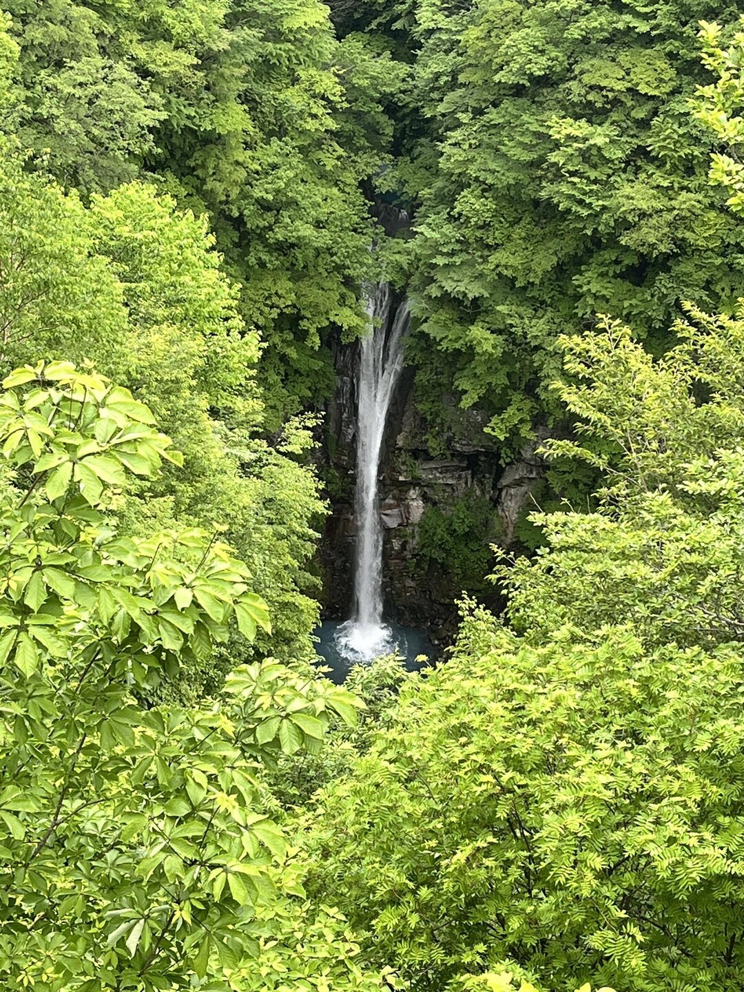 那須を徘徊🐾 / hachacha-umemeさんのウォーキングの活動データ | YAMAP / ヤマップ