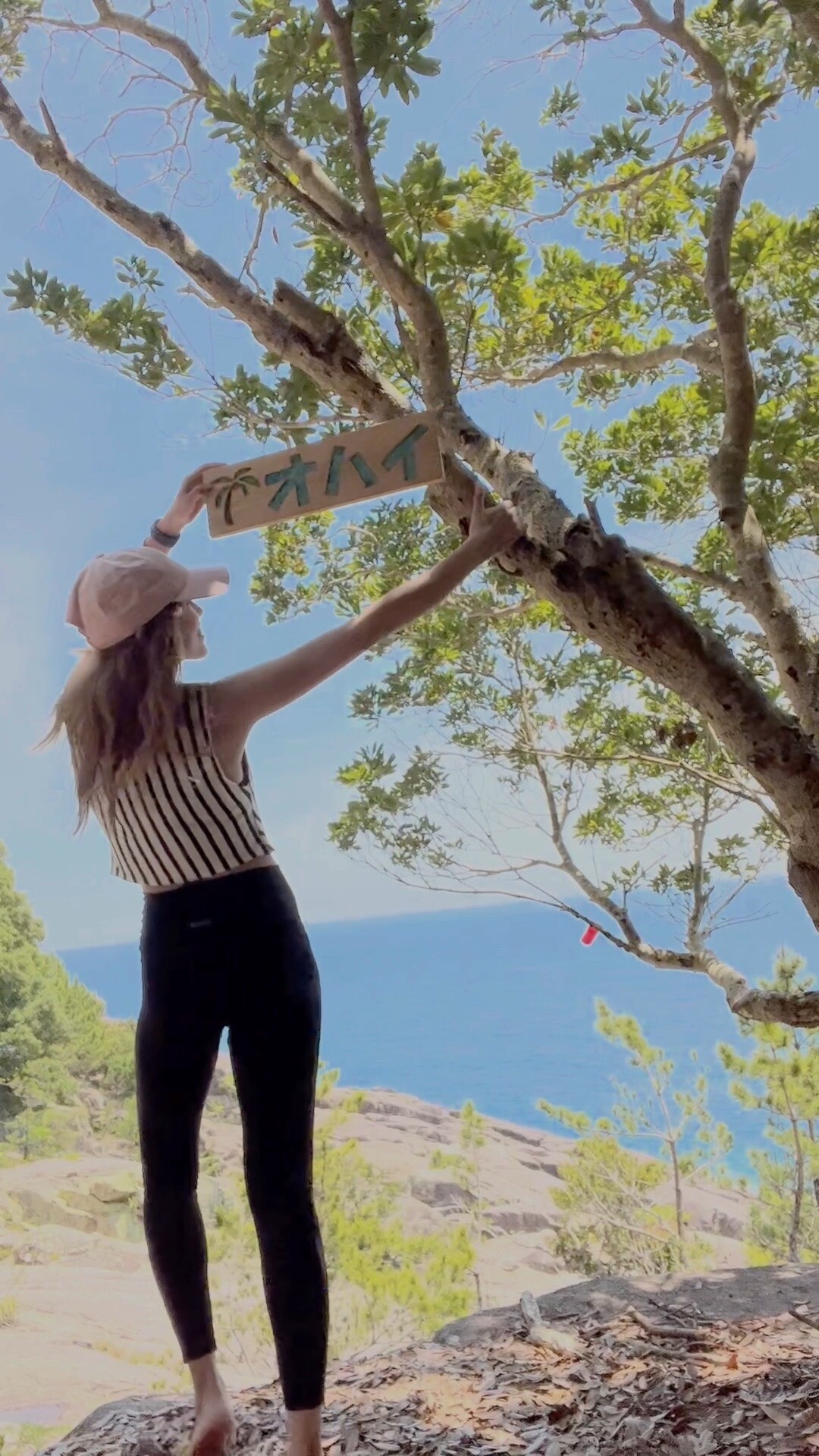 OHAI / りりぱっとさんの八鬼山・頂山・オハイの活動データ | YAMAP / ヤマップ