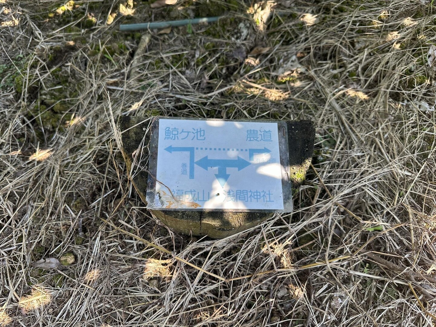 keijuさんの投稿したフィールドメモ | YAMAP / ヤマップ