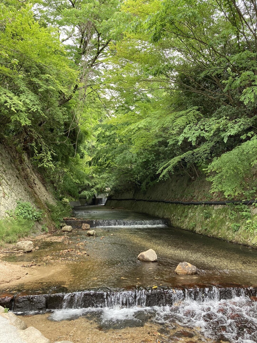 六甲山 / もりつぐさんの六甲山・長峰山・摩耶山の活動データ | YAMAP / ヤマップ