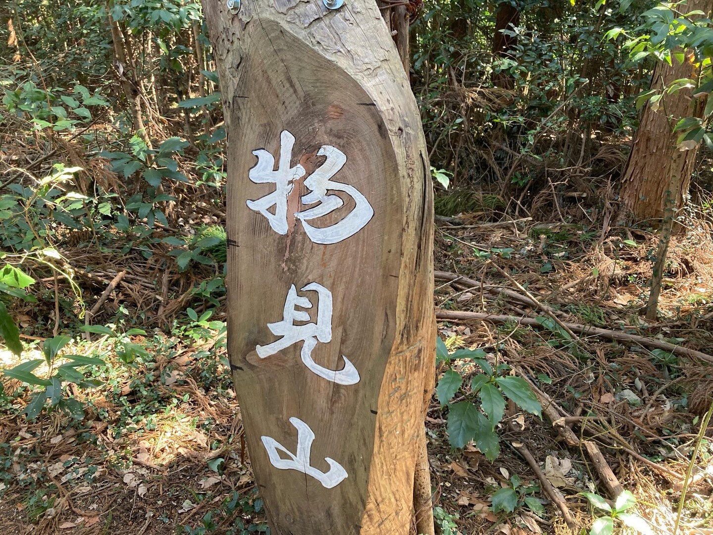 taoさんの投稿したフィールドメモ | YAMAP / ヤマップ