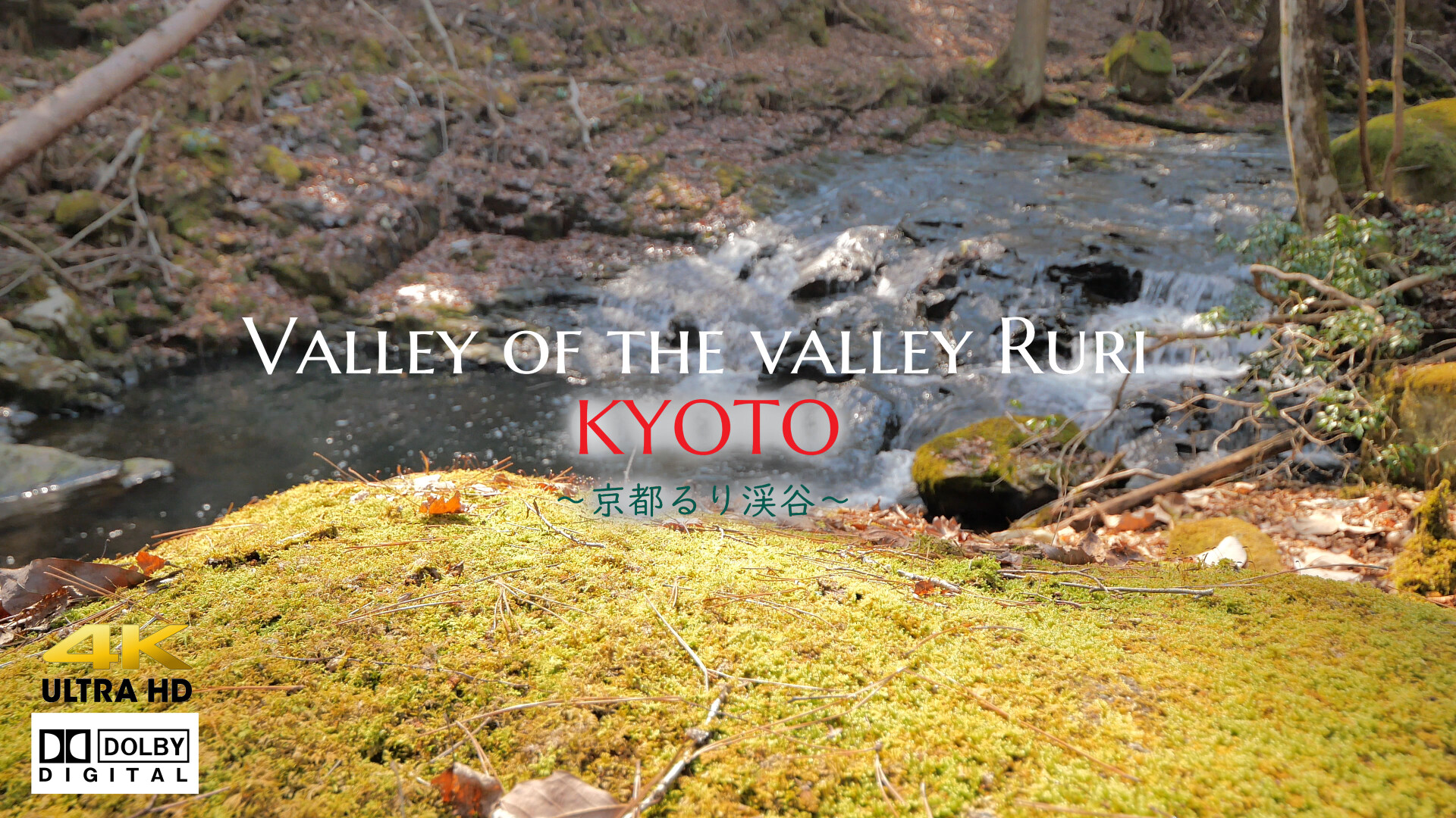 【自然音・癒し】京都 2月 るり渓谷 (... / KEIICHI TOYOTAさんのモーメント | YAMAP / ヤマップ