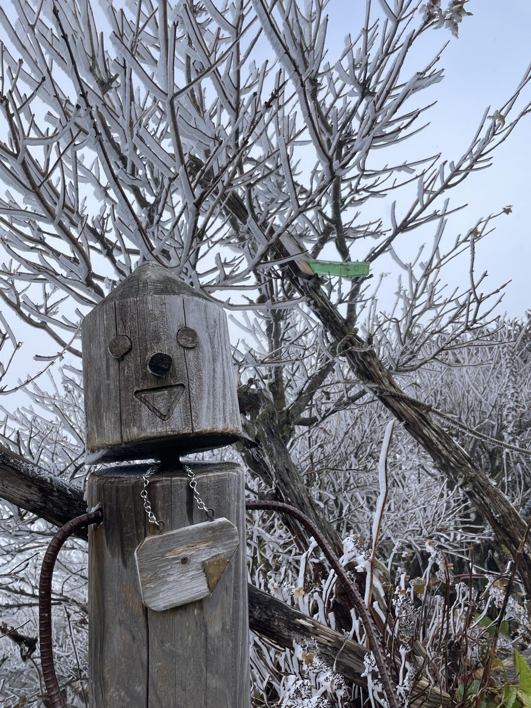 剣山 / yumiさんの剣山の活動データ | YAMAP / ヤマップ