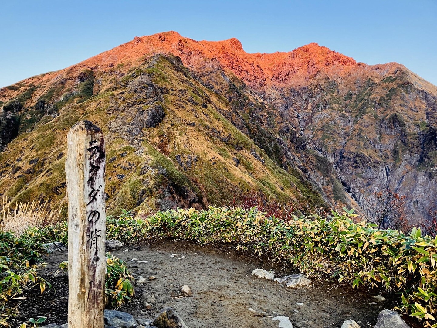 約10日振りの谷川岳馬蹄形(3ヶ月連チャン)🐴🐴🐴 / wirryさんの谷川岳・七ツ小屋山・大源太山の活動データ | YAMAP / ヤマップ