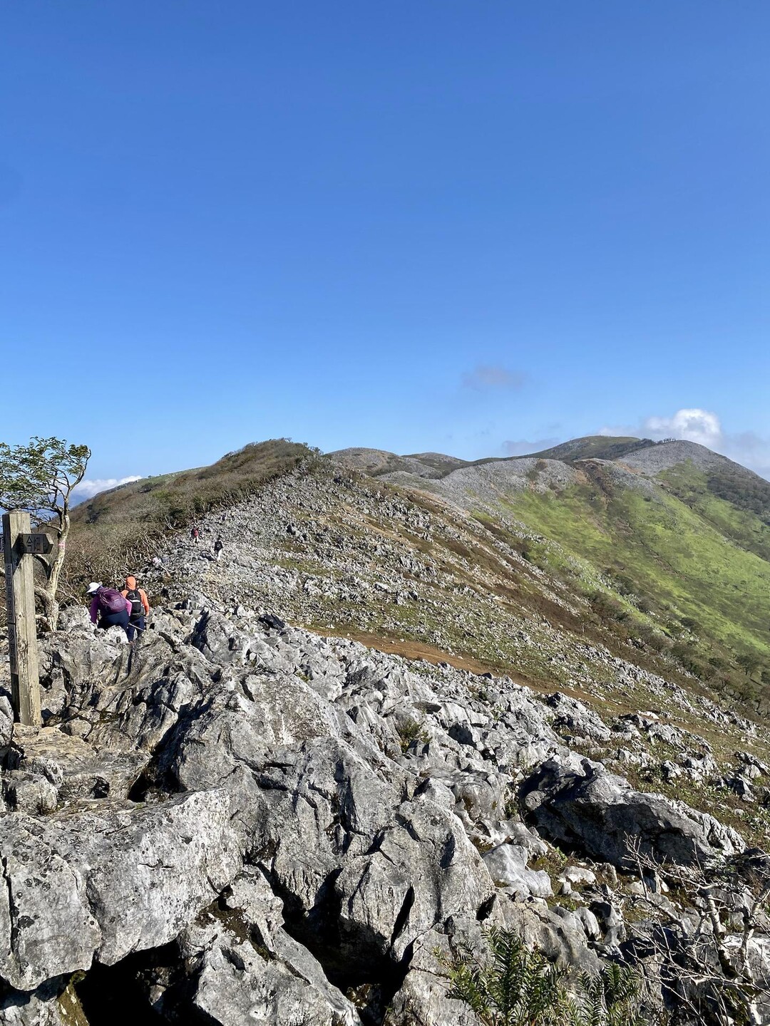 霊仙山最高点・霊仙山・経塚山 / KA-ZUNさんの霊仙山の活動データ | YAMAP / ヤマップ