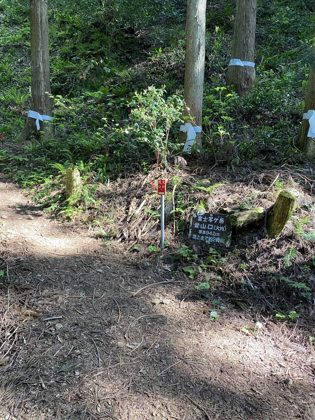 富士写ヶ岳 (5回目) 小倉谷山〜火燈山周回 / jt0450さんの富士写ヶ岳・小倉谷山・火燈山の活動データ | YAMAP / ヤマップ