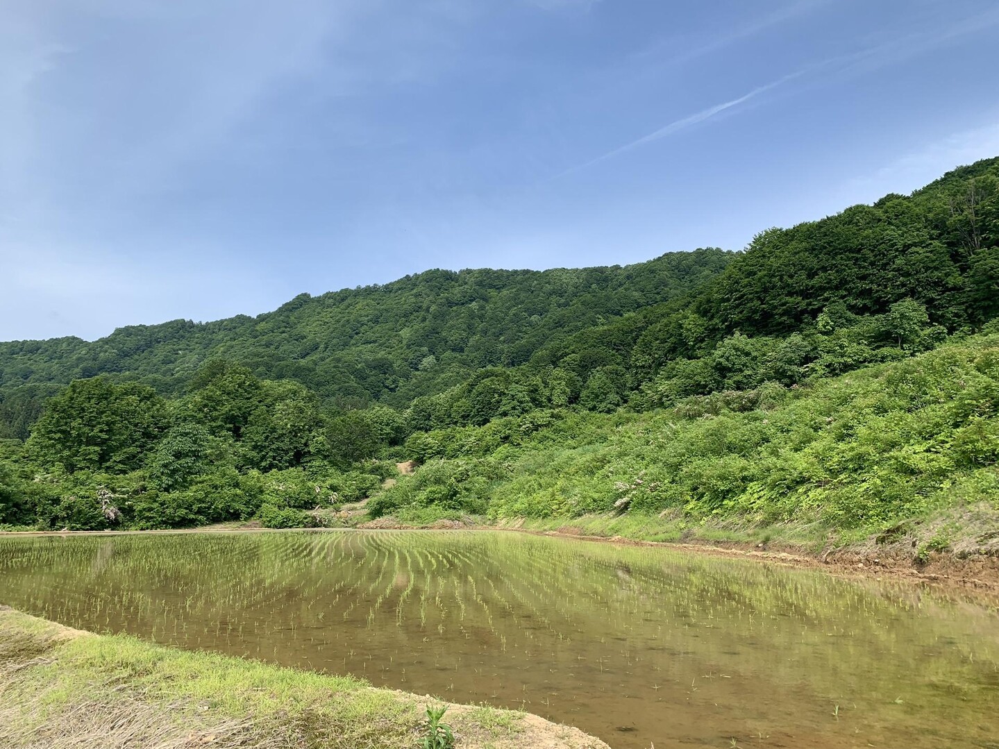 DEEP分割（入広瀬小付近） / よめさんのランニングの活動データ | YAMAP / ヤマップ