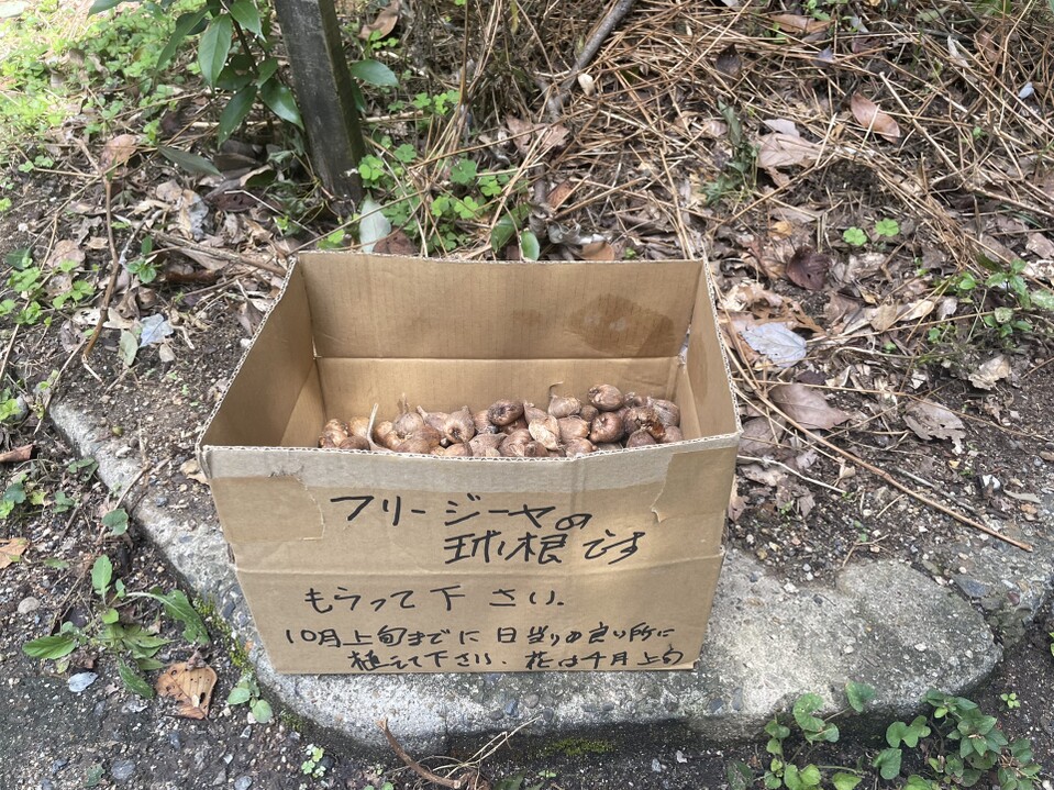 東昌寺-城ヶ峰-御門杉 周回コースの地図・登山ルート・登山口情報 | YAMAP / ヤマップ