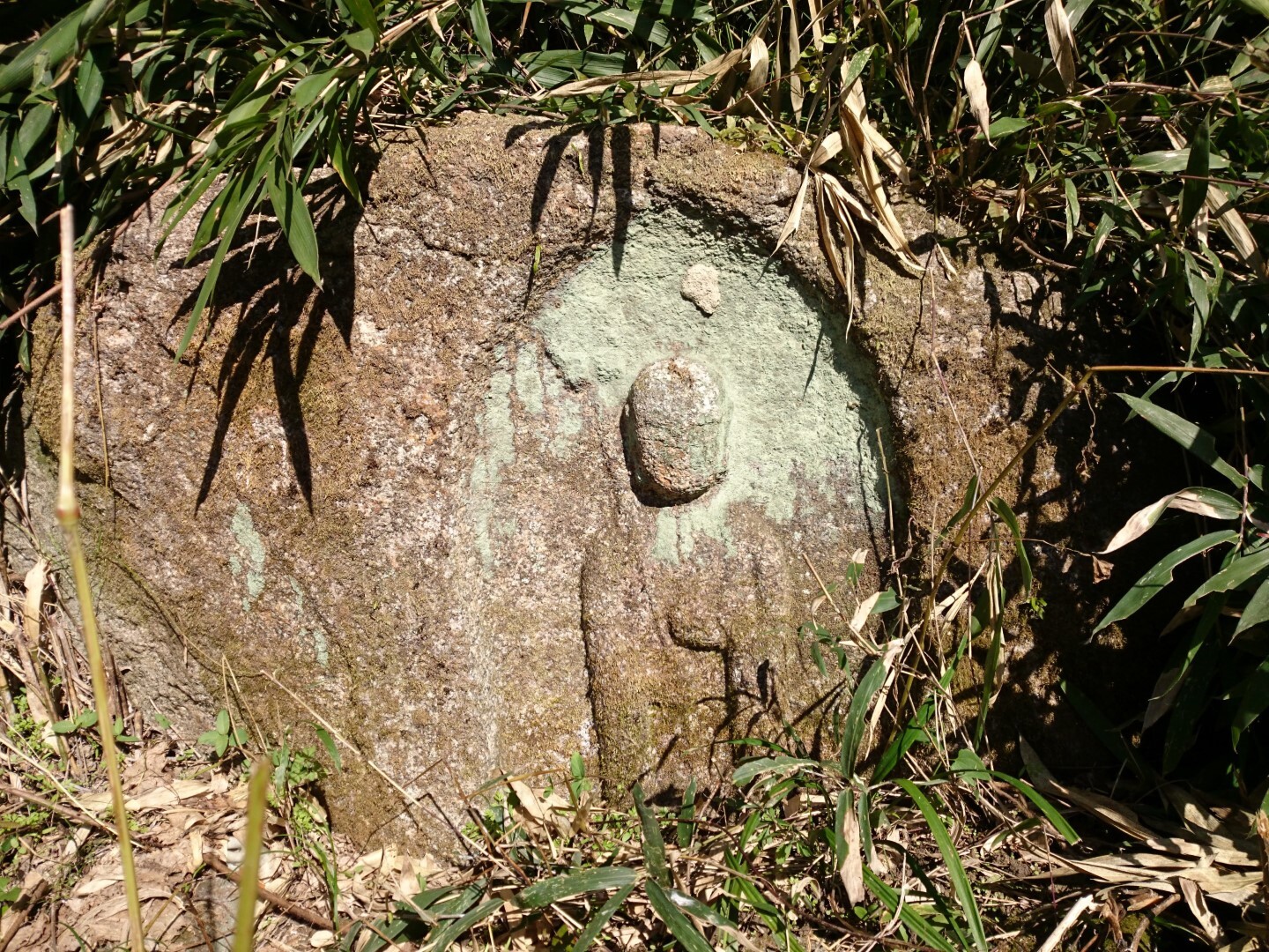 福貴畑から明心道・ミヤマグチの石仏 / _toyoさんの生駒山・神津嶽・大原山の活動日記 | YAMAP / ヤマップ