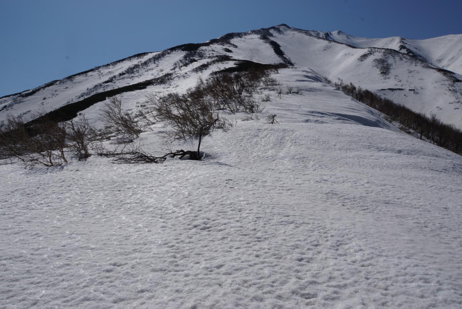 利尻山下見1 / てっちゃんさんの利尻山（利尻富士）の活動データ | YAMAP / ヤマップ