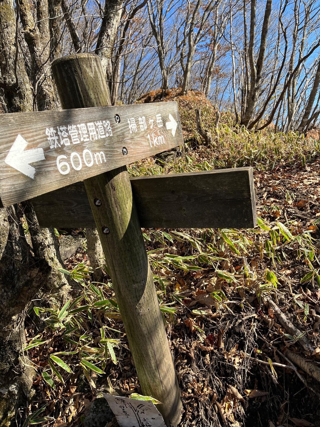 Maa さんの投稿したフィールドメモ | YAMAP / ヤマップ