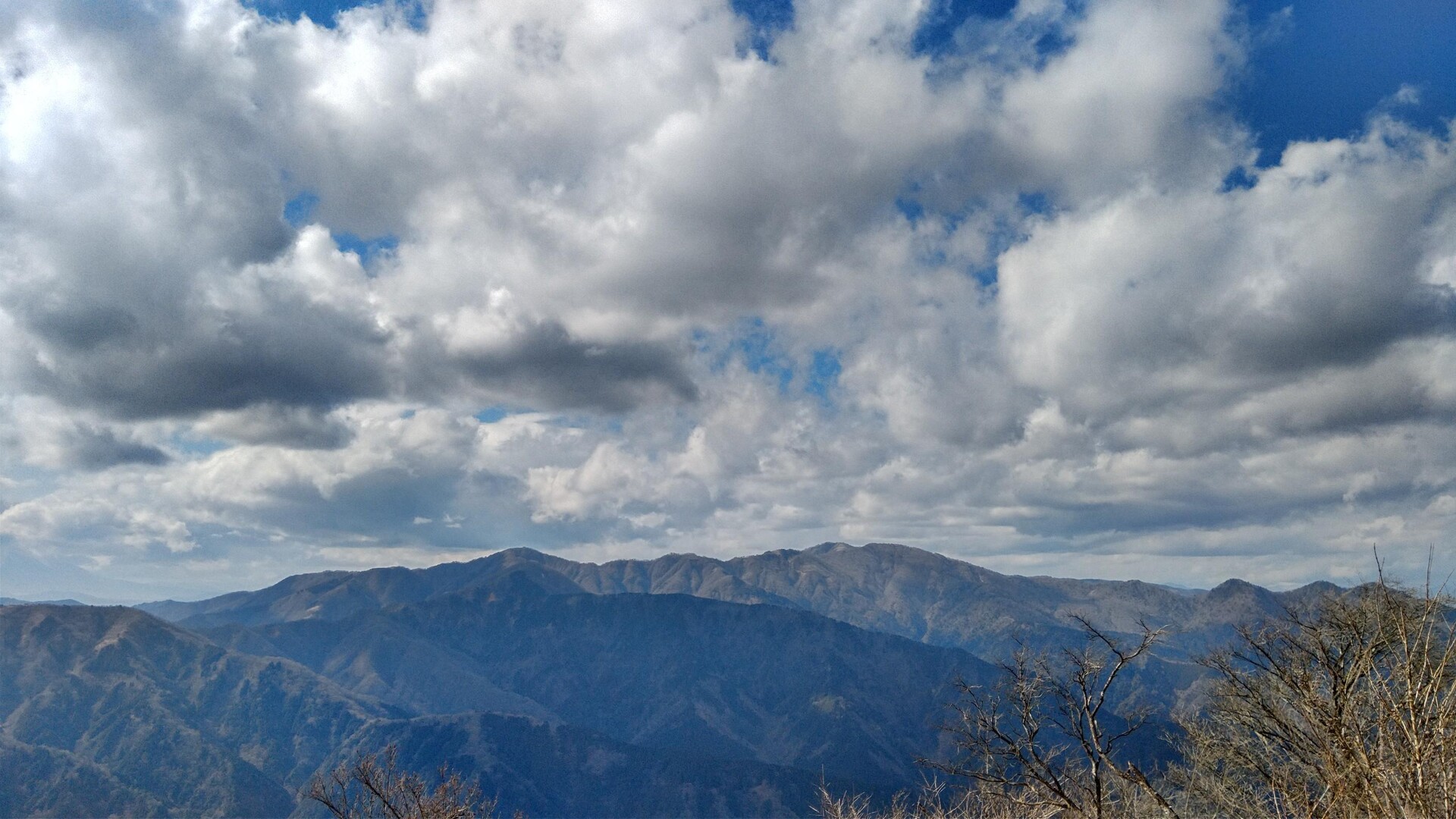 大山 / papa_703さんの大山の活動データ | YAMAP / ヤマップ