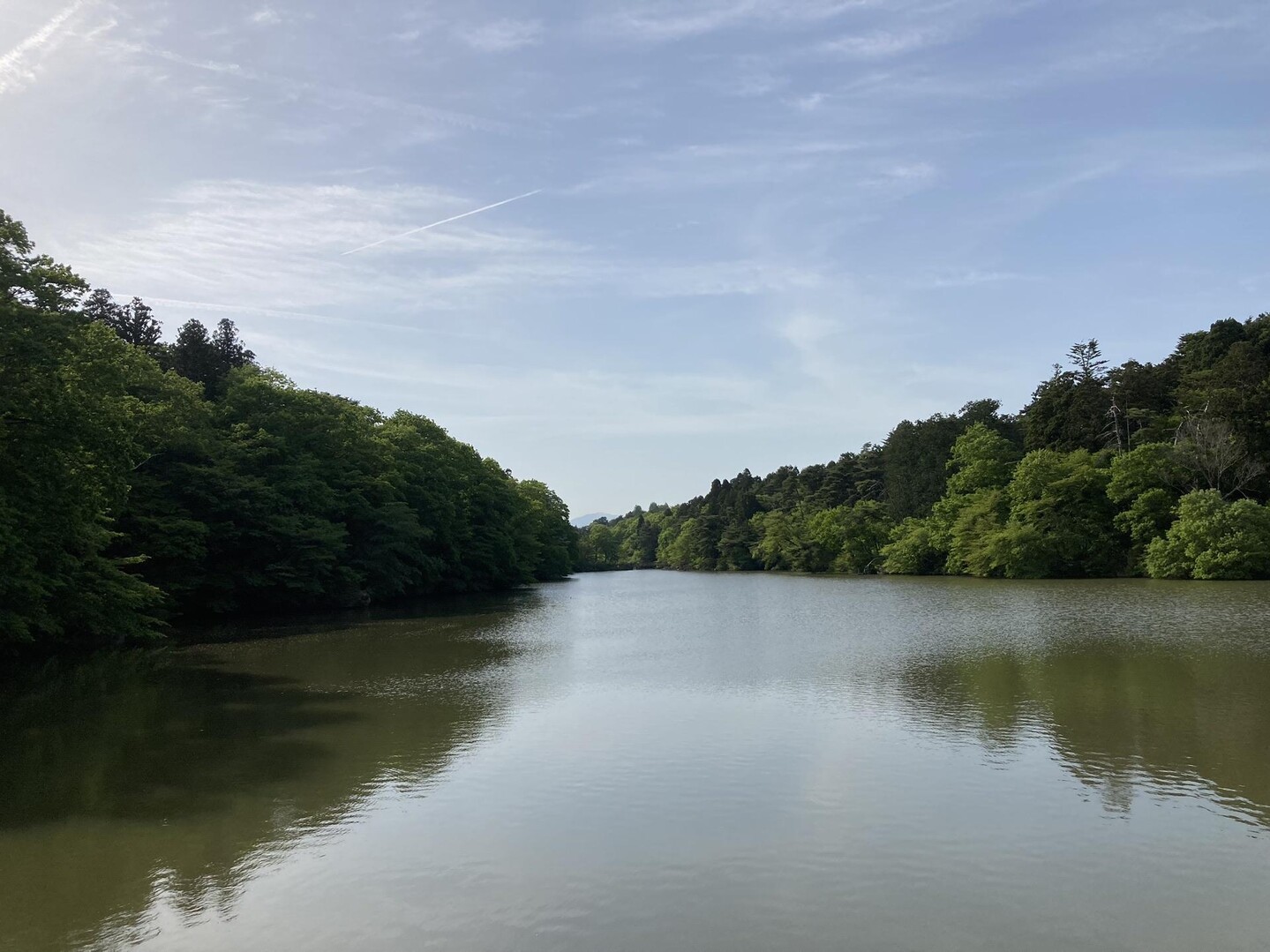 こんにちは^ ^ 今日は晴れていて風も... / OBsunさんのモーメント | YAMAP / ヤマップ