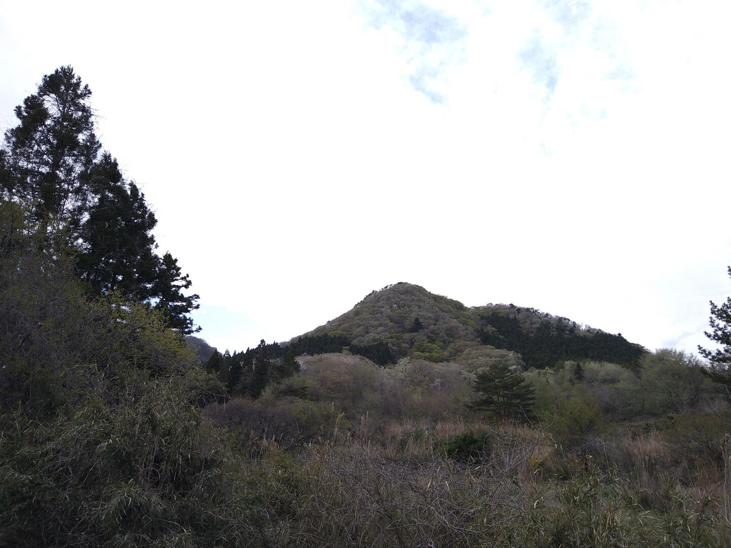 七ツ森 六薬師掛け×2（松撫大蜂鎌遂た遂鎌蜂大撫松） / ao_hachiさんの七ツ森の活動データ | YAMAP / ヤマップ