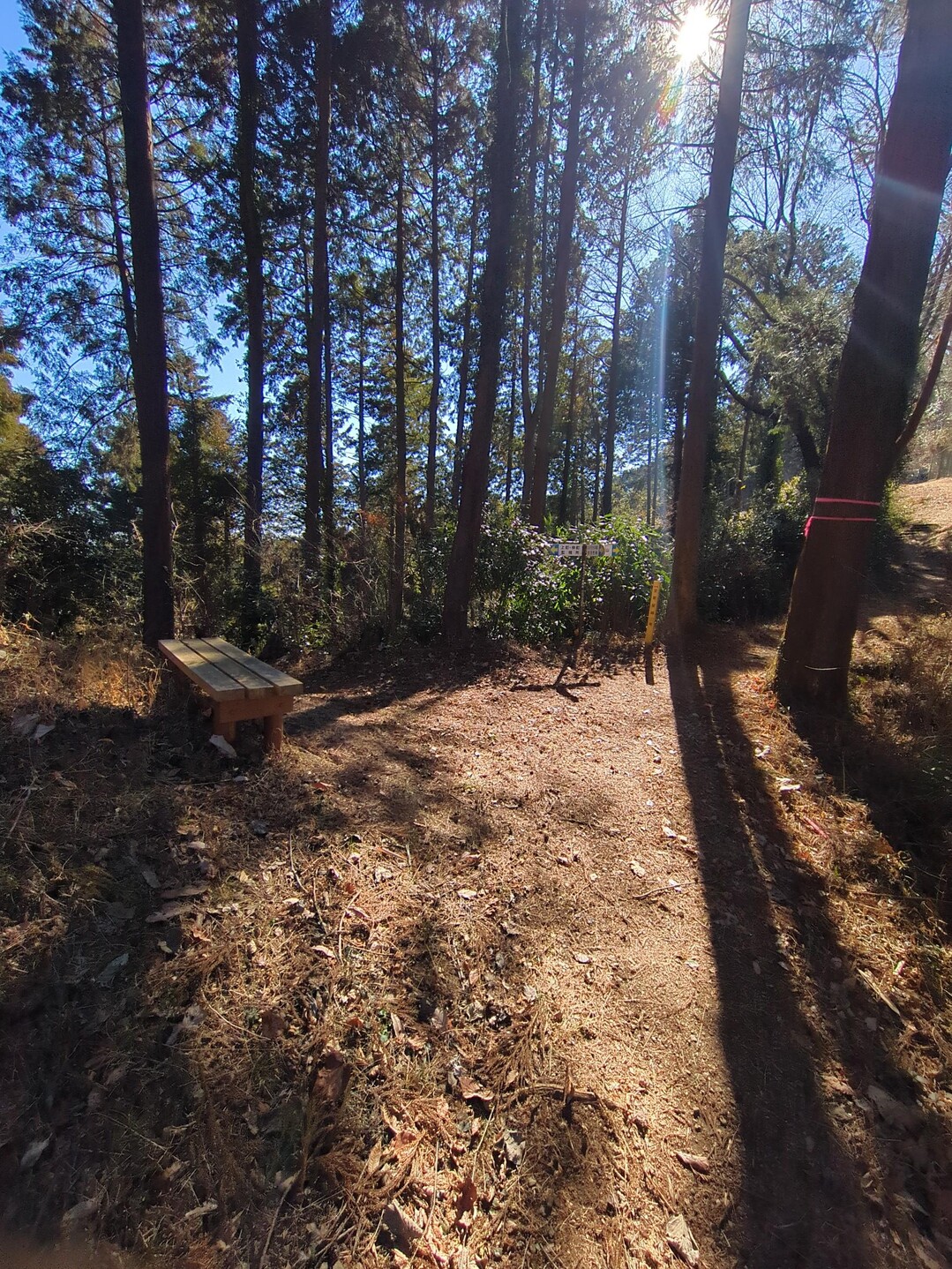 Space Dragonさんの投稿したフィールドメモ | YAMAP / ヤマップ