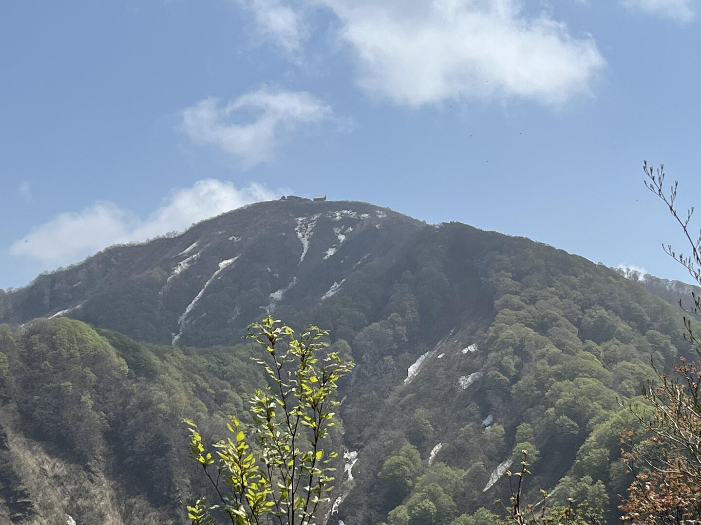 振り返ったら米山ブルー / tamu.kさんの米山の活動データ | YAMAP / ヤマップ