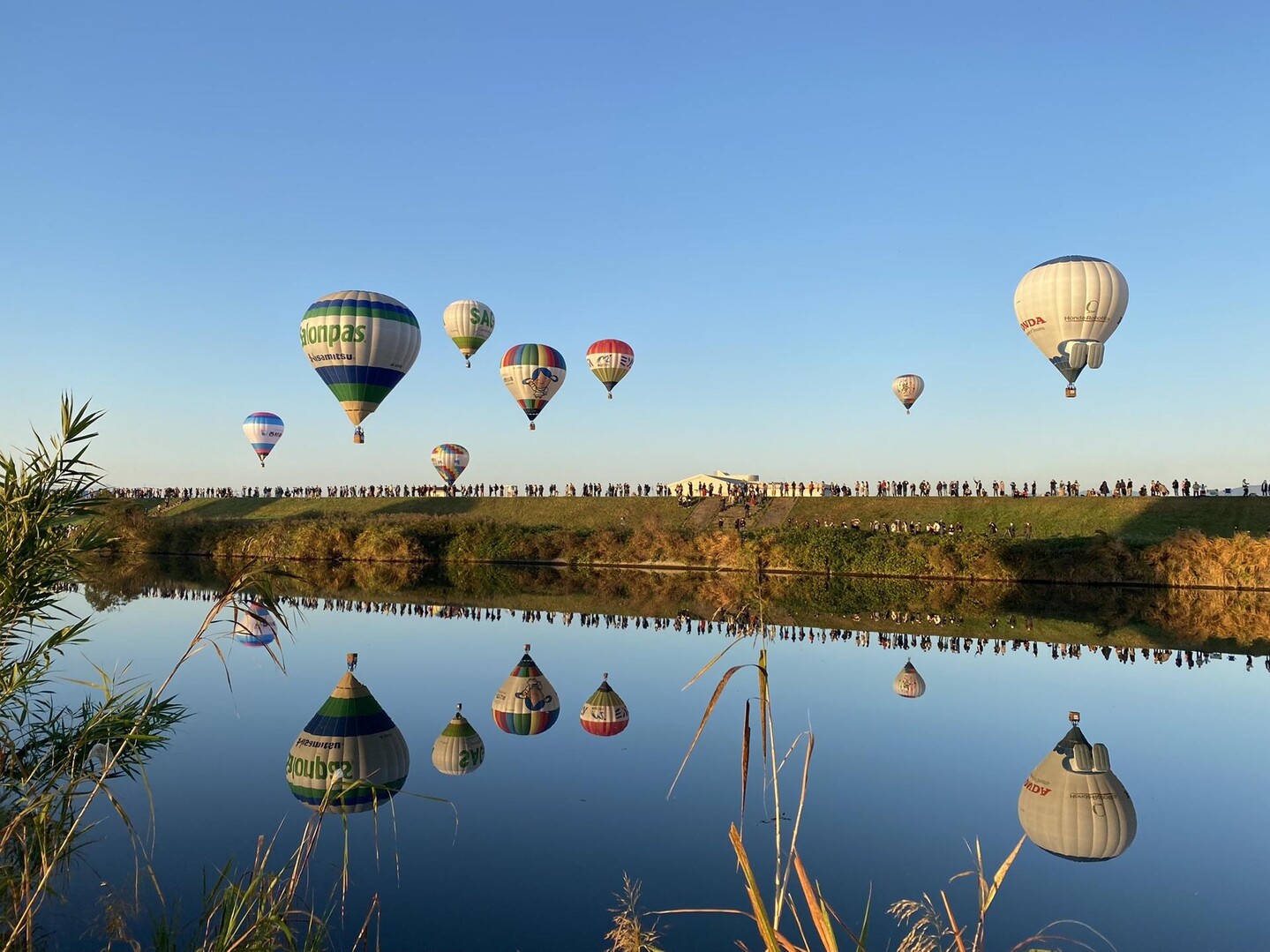 競技2日目AMもフライト日和、休日なので... / 木霊さんのモーメント | YAMAP / ヤマップ