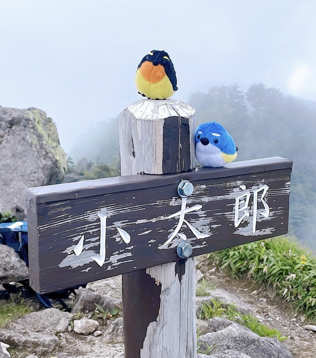 山王帽子山・小太郎山・太郎山 / sorarinnさんの男体山の活動データ | YAMAP / ヤマップ