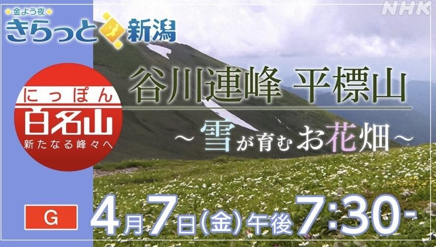 NHK新潟で本日放送「谷川連峰 平標山〜... / Hakuさんのモーメント | YAMAP / ヤマップ