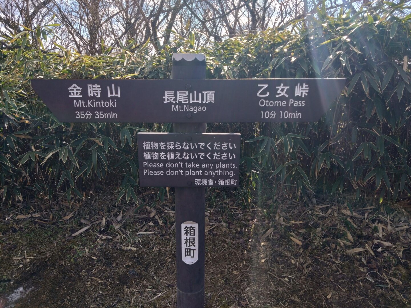 masapiさんの投稿したフィールドメモ | YAMAP / ヤマップ