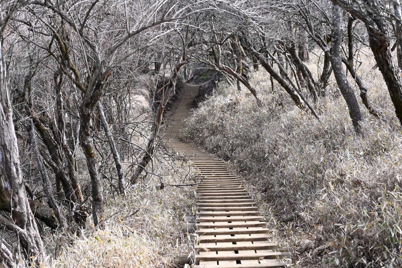 春嶽山・大山 / mintさんの大山の活動データ | YAMAP / ヤマップ