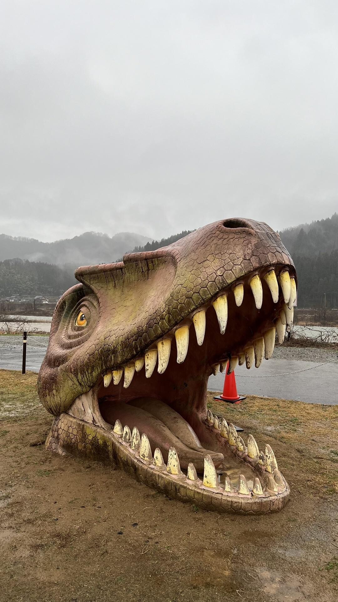 #0【スキージャム勝山】🦖🏂☔️ / ひさんのスノーボードの活動データ | YAMAP / ヤマップ