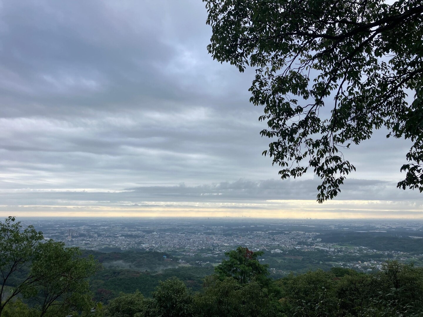 プチトレイルランニング / kin29さんの日和田山・物見山の活動データ | YAMAP / ヤマップ