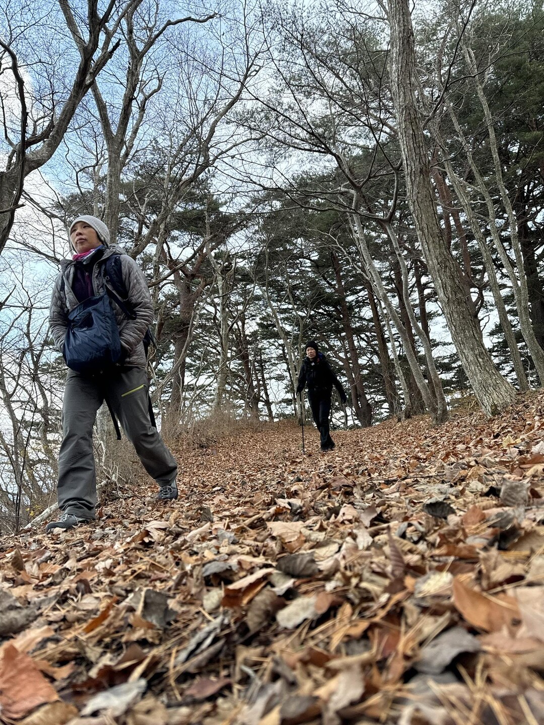 MCT机浜番屋ー北山崎-2023-12-17 / mitsuさんのウォーキングの活動データ | YAMAP / ヤマップ