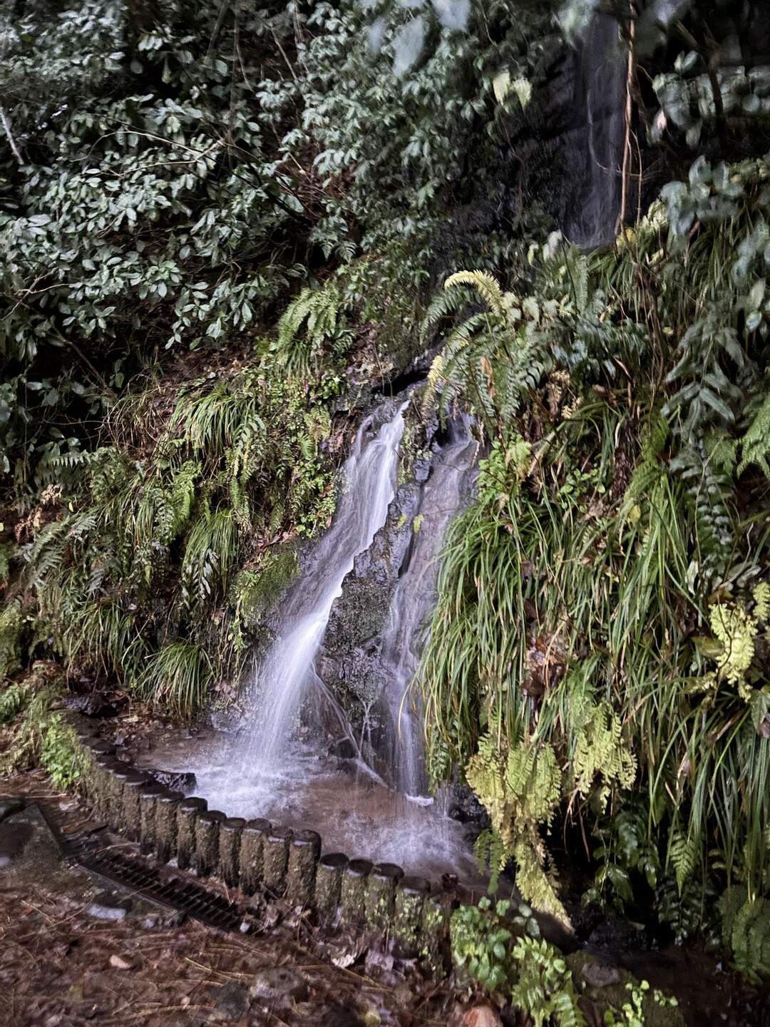 文殊山131回目 / 🌸ako🌸さんの文殊山の活動データ | YAMAP / ヤマップ