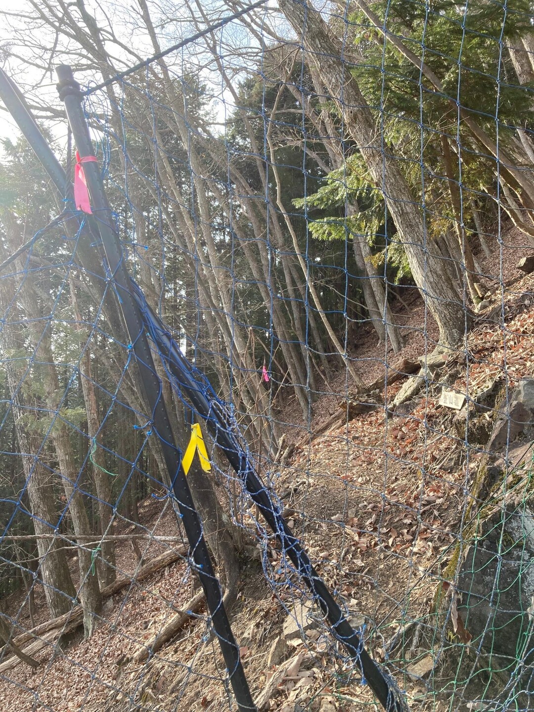 Wakkyさんの投稿したフィールドメモ | YAMAP / ヤマップ