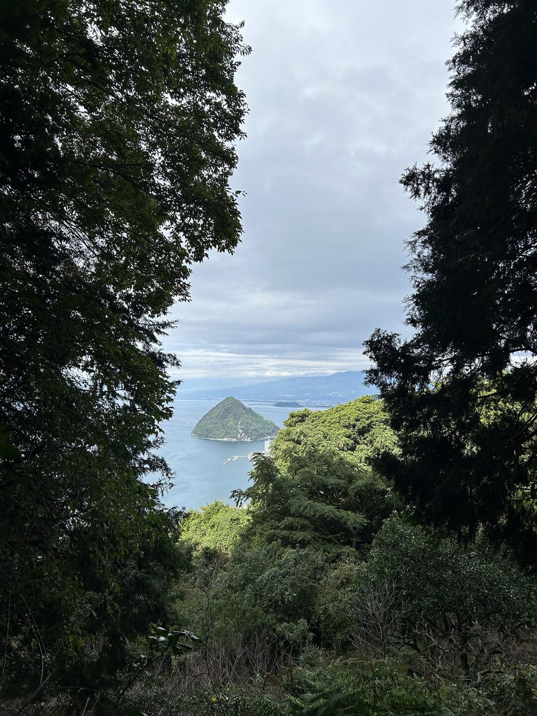 No.39トレーニング 海から発端丈山ピストン2024-11-10 / ジムニーさんの伊豆の国市 E-BIKEの活動データ | YAMAP / ヤマップ