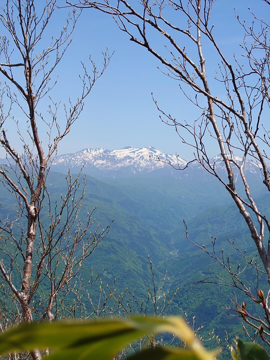 中荒島岳・荒島岳 / eunos.kkさんの荒島岳の活動データ | YAMAP / ヤマップ