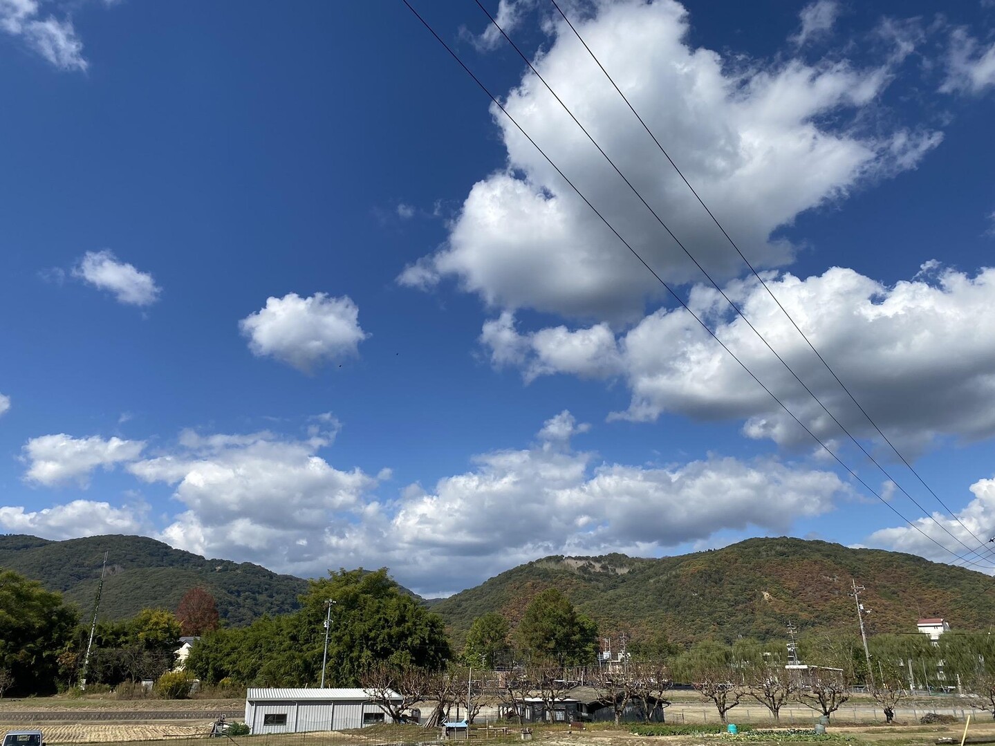 龍ノ口山 / YHやっさんさんの龍ノ口山の活動データ | YAMAP / ヤマップ