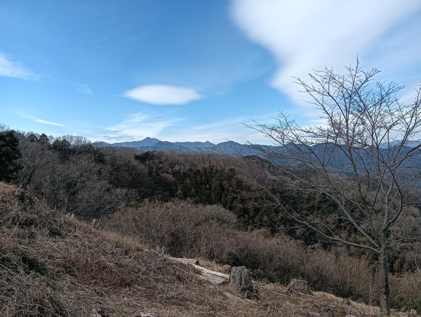 赤ぼっこ・天狗岩・要害山・愛宕山 / sugar marchさんの御岳山 下山メシ聖地巡礼マップ#1の活動データ | YAMAP / ヤマップ