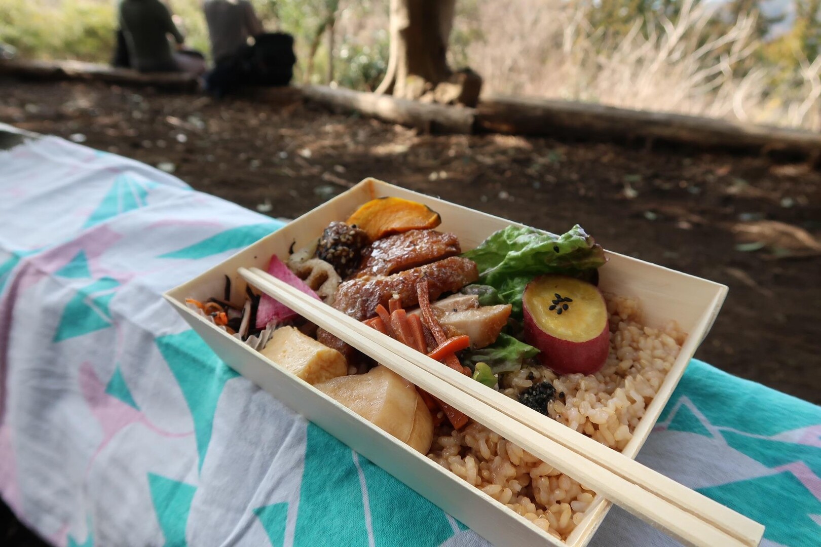 三連休初日はさくっと仙元山・ソッカ / heeさんの三浦アルプス・二子山・仙元山の活動データ | YAMAP / ヤマップ