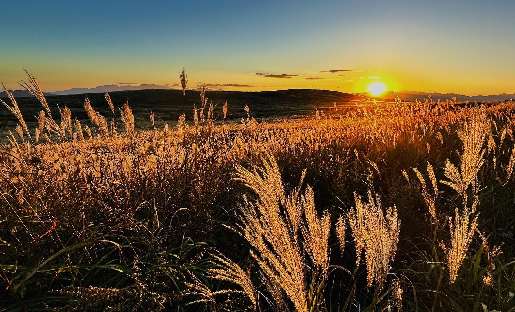 『黄昏れる』 神々しいような物悲しいよ... / satokoさんのモーメント | YAMAP / ヤマップ