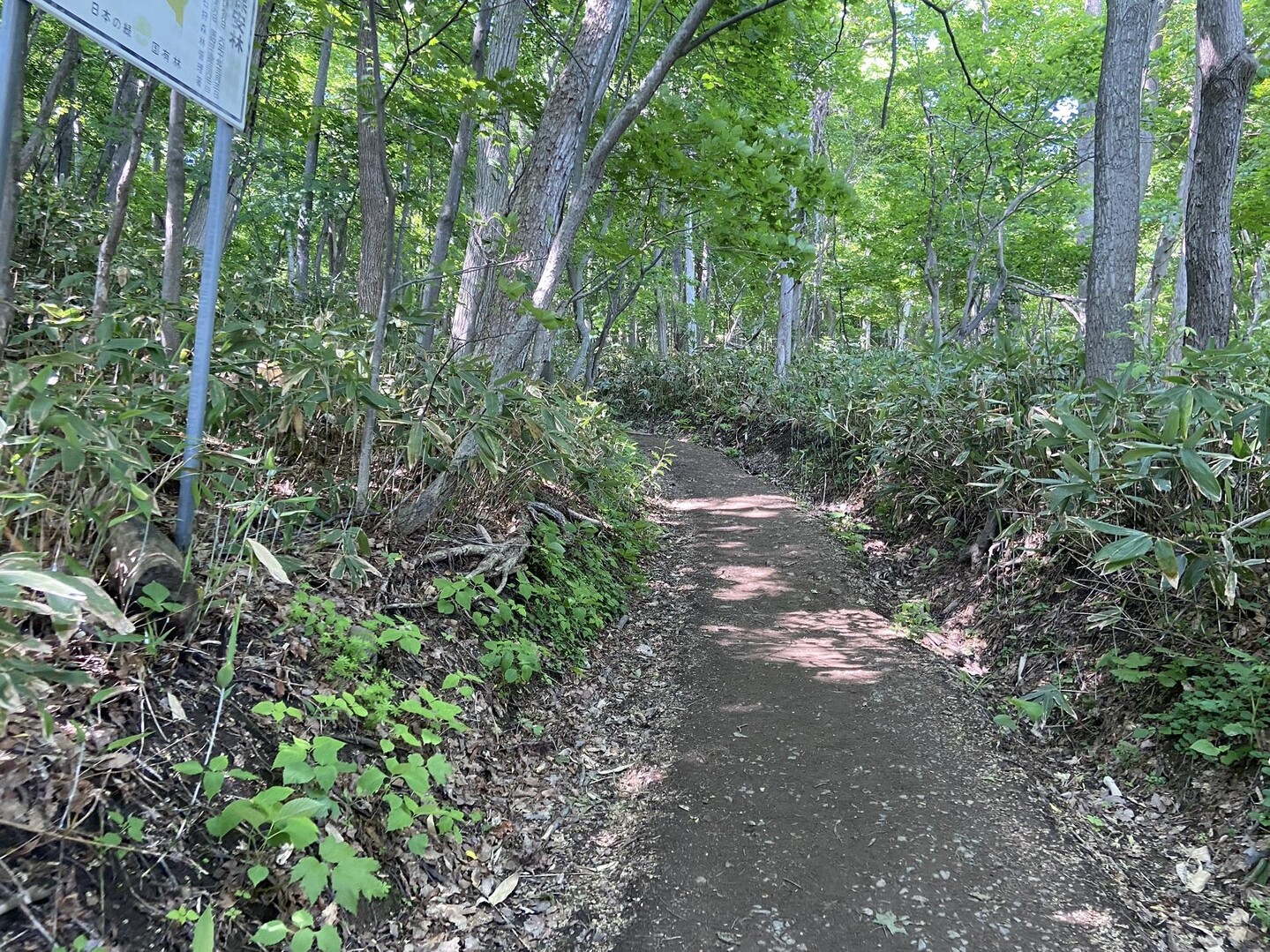 藻岩山 / mitさんの藻岩山の活動データ | YAMAP / ヤマップ