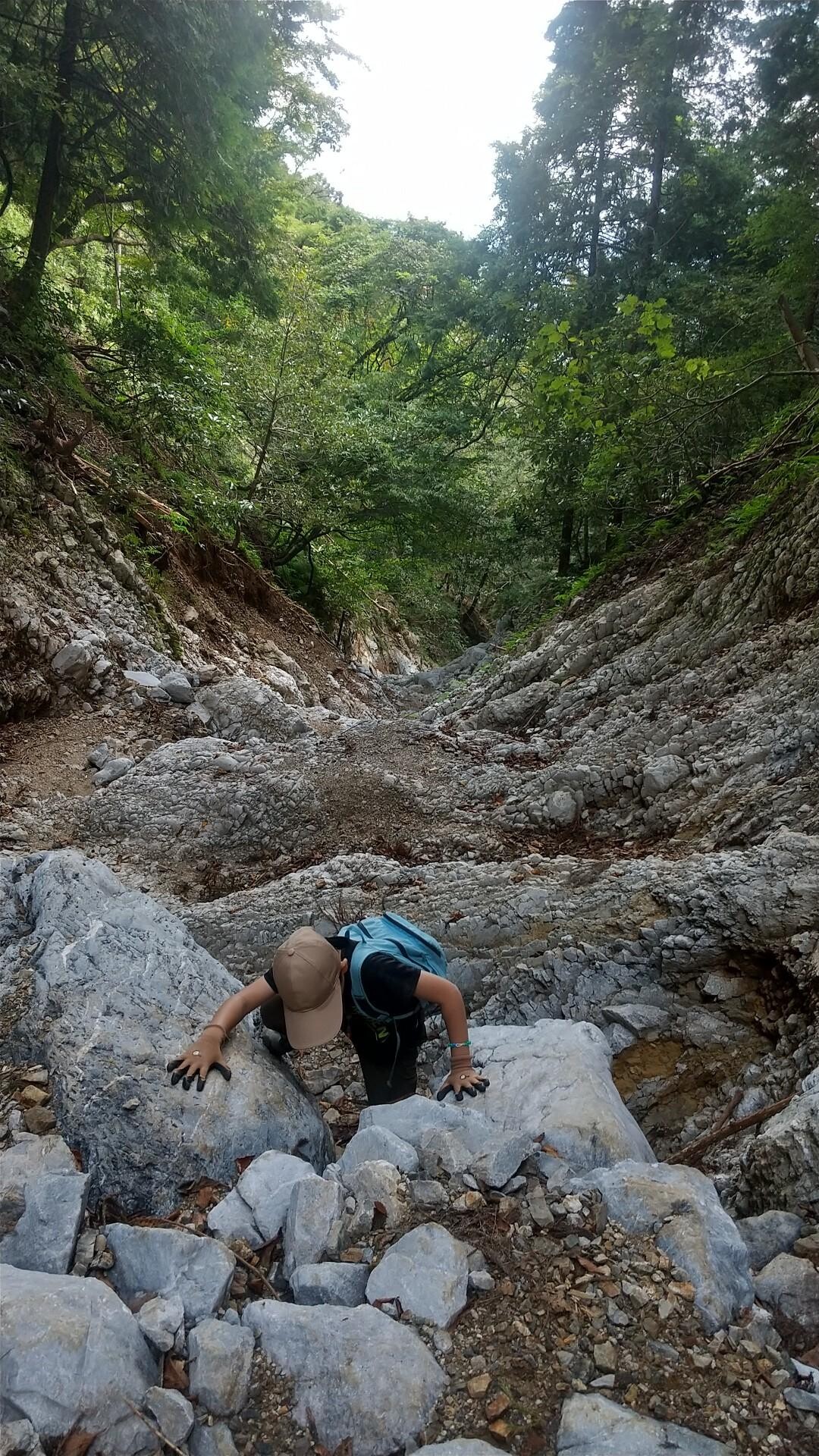 藤原岳 / Shinjiさんの藤原岳・御池岳の活動データ | YAMAP / ヤマップ