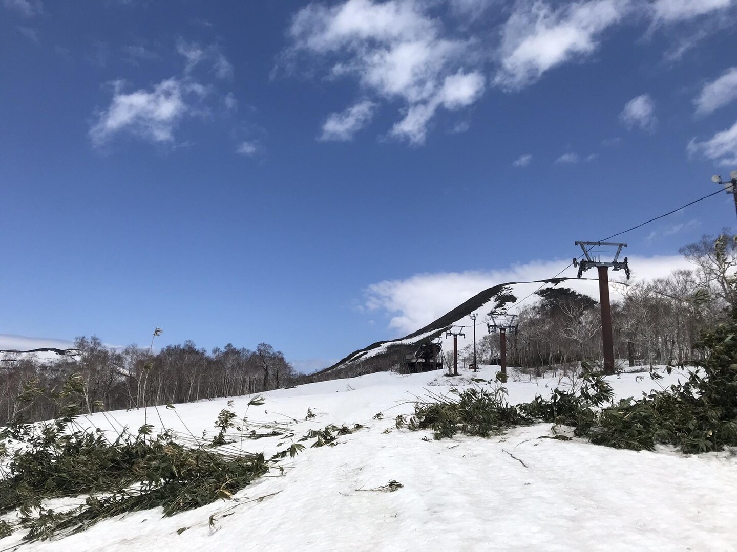 832m峰 旧チセヌプリスキー場 / スナフキンさんのニセコアンヌプリ・イワオヌプリ・チセヌプリの活動データ | YAMAP / ヤマップ