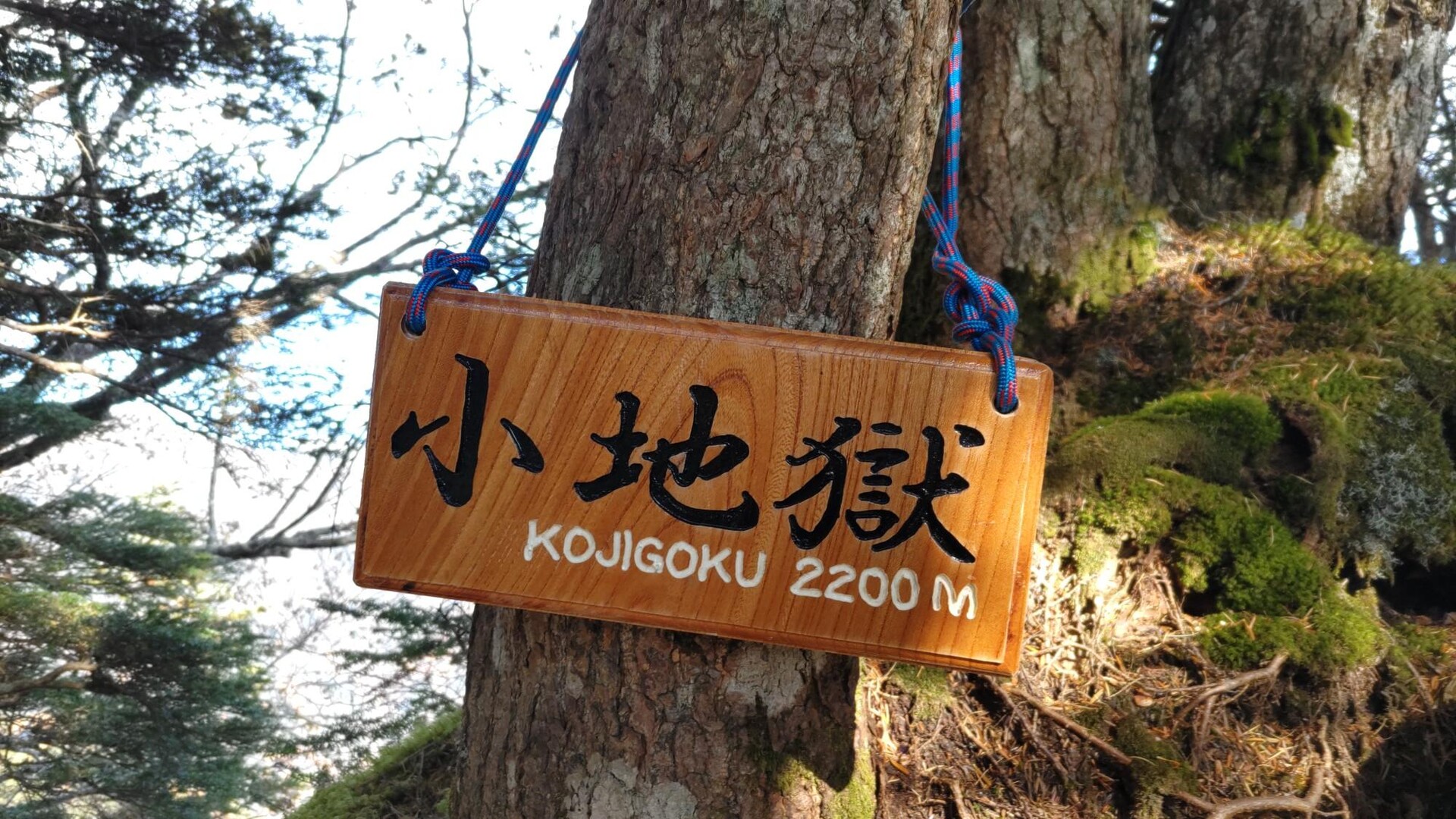 空木岳 地獄から極楽へ / zattonさんの木曽駒ヶ岳・空木岳・越百山の活動データ | YAMAP / ヤマップ