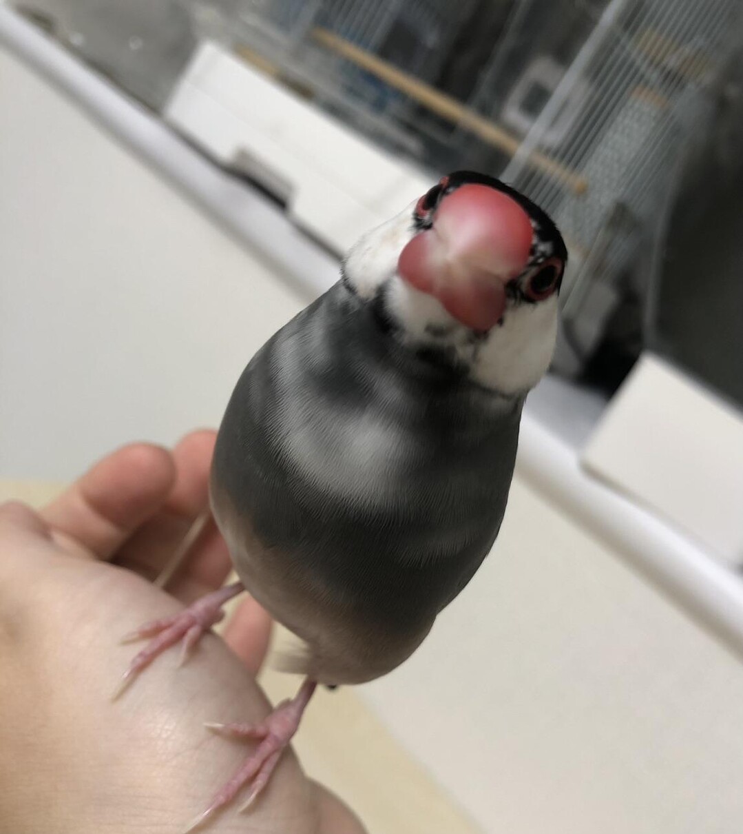 skのページ | YAMAP / ヤマップ