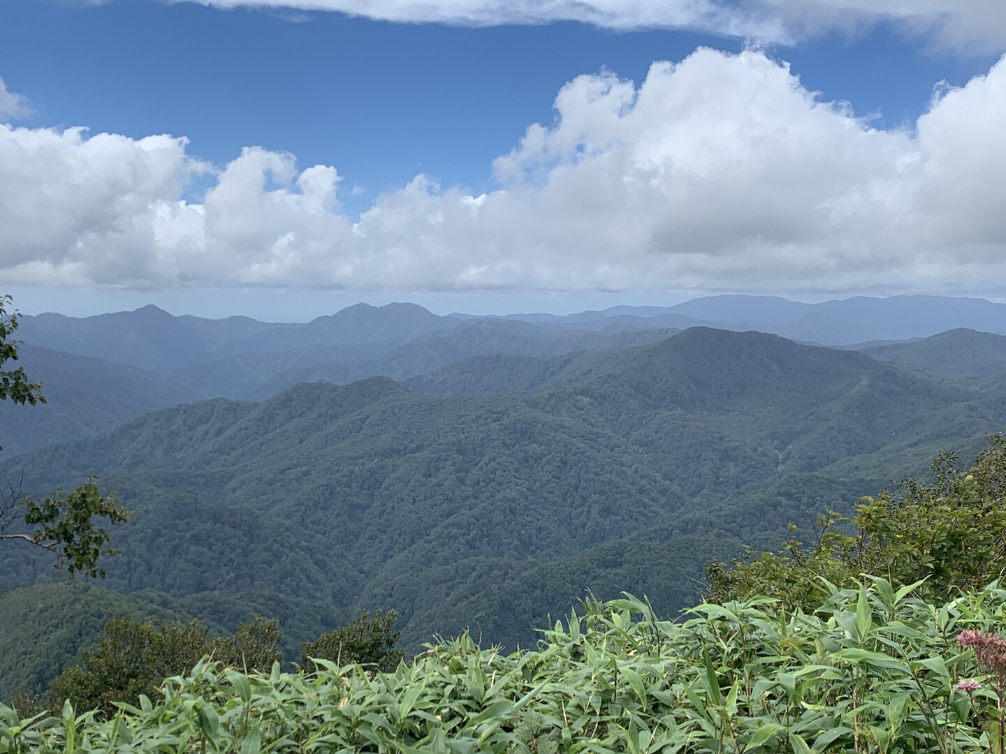 R4.8.28 藤里駒ヶ岳 / あおかつさんの藤里駒ヶ岳の活動データ | YAMAP / ヤマップ